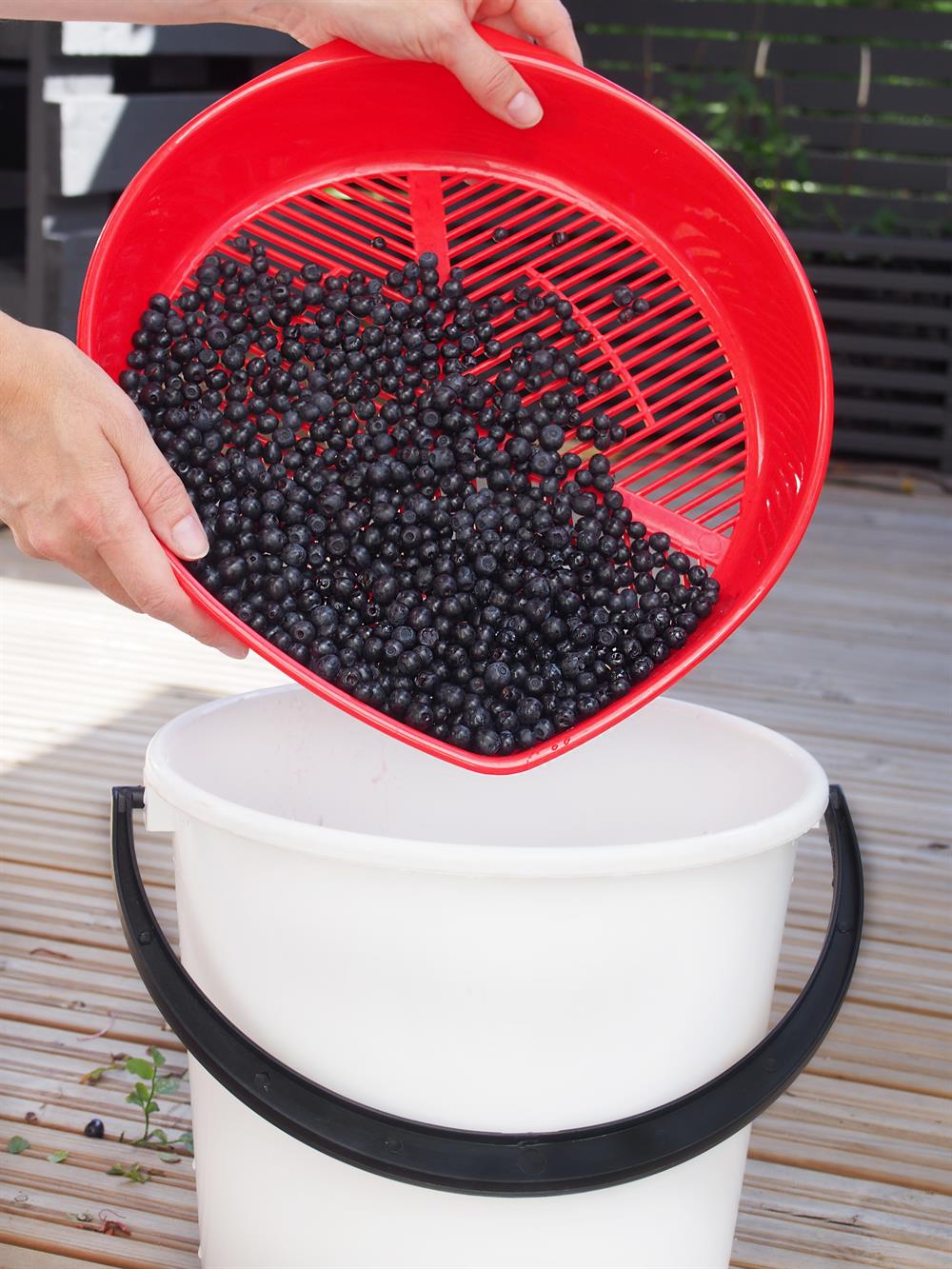 Bær rense-sil med trakt, Marjukka, rød